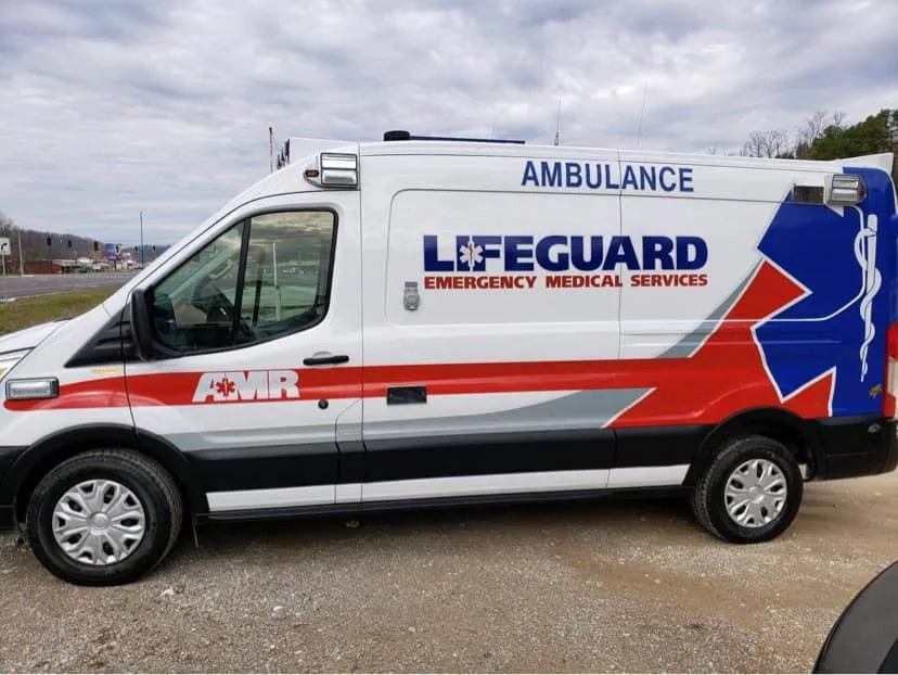 Ford Transit Van Wraps LA | Commercial Van Graphics